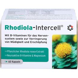 INTERCELL-Pharma GmbH RHODIOLA-INTERCELL Kapseln 60 St