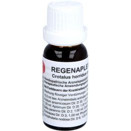 REGENAPLEX Nr.26 c Tropfen zum Einnehmen 15 ml
