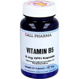 Hecht-Pharma Vitamin B5 6 mg Gph Kapseln 60 St