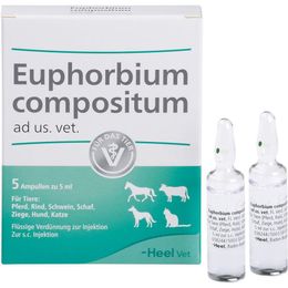 Heel Euphorbium Compositum ad us.vet.Ampullen 5X5 ml