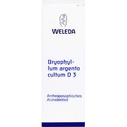 Weleda Bryophyllum Argento cultum D 3 Dilution 50 ml