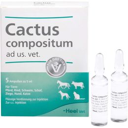 Heel Cactus Compositum ad us.vet.Ampullen 5 St