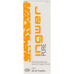 Ingwer Pure Tropfen 20 ml