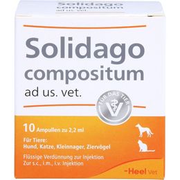Heel Solidago Compositum ad us.vet.Ampullen 10 St