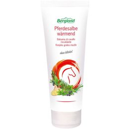 Pferdesalbe w&auml;rmend 100 ml