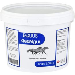 Berco-ARZNEIMITTEL Kieselgur Equus Pulver f.Pferde 2000 g
