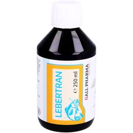 Hecht-Pharma Lebertran L&ouml;sung 250 ml