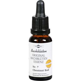 MCM KLOSTERFRAU Vertr. GmbH Bachbl&uuml;ten Murnauer Chestnut Bud Tropfen 20 ml