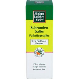 Dr.Theiss Allg&auml;uer LATSCHENK. Schrundensalbe LK-Orange 75 ml