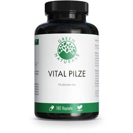 Heilpflanzenwohl GmbH Green Naturals Vital Pilze Cordyceps Reishi vegan 180 St