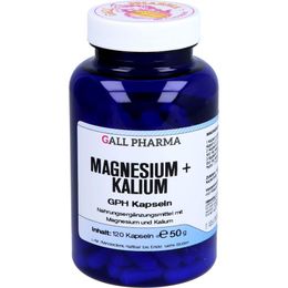 Hecht-Pharma MAGNESIUM+KALIUM Gph Kapseln 120 St