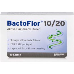 INTERCELL-Pharma GmbH Bactoflor 10/20 Kapseln 30 St