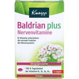 Kneipp GmbH Kneipp Baldrian plus Nervenvitamine Dragees 40 St