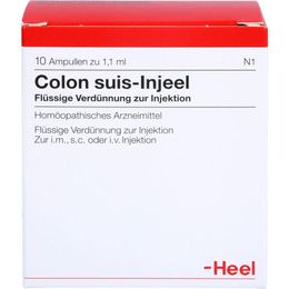 Heel Colon Suis Injeel Ampullen 10 St