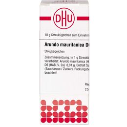 DHU-Arzneimittel Arundo mauritanica D 6 Globuli 10 g