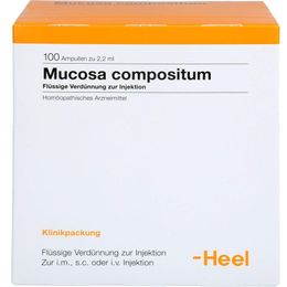 Heel Mucosa compositum Ampullen 100 St
