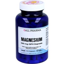Hecht-Pharma Magnesium 100 mg Gph Kapseln 120 St