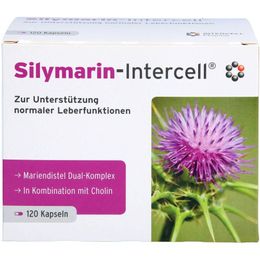 INTERCELL-Pharma GmbH SILYMARIN-Intercell Kapseln 120 St