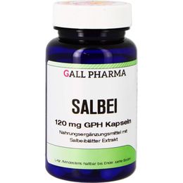 Hecht-Pharma Salbei 120 mg Gph Kapseln 60 St