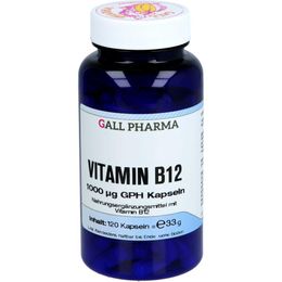 Hecht-Pharma Vitamin B12 1000 &mu;g Gph Kapseln 120 St