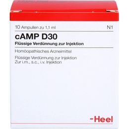 Heel Camp D 30 Ampullen 10 St