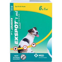Exspot L&ouml;sung f&uuml;r Hunde 6X1 ml