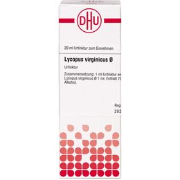 DHU-Arzneimittel Lycopus Virginicus Urtinktur 20 ml