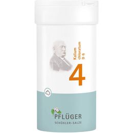 Pfl&uuml;ger&reg; Biochemie Pfl&uuml;ger 4 Kalium chloratum D 6 Pulver 100 g