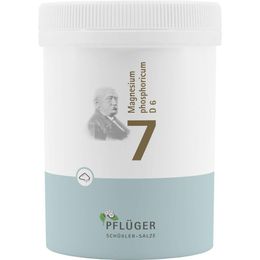 Pfl&uuml;ger&reg; Biochemie Pfl&uuml;ger 7 Magnesium phosphoricum D 6 Plv 250 g