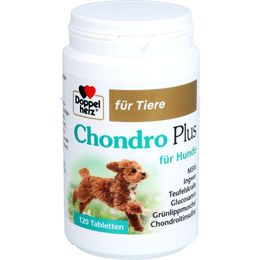 Queisser Doppelherz für Tiere Chondro Plus Tabl.f.Hunde 120 St