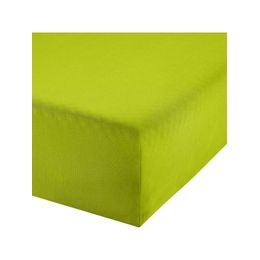 Erwin M&uuml;ller Erwin M&uuml;ller Single-Jersey Boxspringbett-Spannbettlaken Freising in apfelgr&uuml;n | Gr.: 180x200 cm - 200x220 cm
