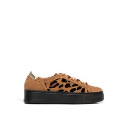 Wittchen Damen-Sneaker aus Leder mit Leopardenmuster in Brown | Gr.: 38
