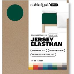 Spannbettlaken Schlafgut "EASY Jersey Elasthan Boxspring", grün (grün deep), 1 Stk., Jersey, 140-160x200-220 40, Jersey, Obermaterial: 95% Baumwolle, 5% Elasthan, Bettlaken, MADE IN GREEN by OEKO-TEX