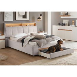 Polsterbett Inosign "CiTY/GiRON,, gepolstertes Stauraumbett, mit LED Beleuchtung", beige (hellbeige), B:170cm H:110cm L:235cm, Betten, Polsterbett, Bettkasten mit Hundebett oder als Stauraum, klappbare Kopfteile