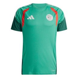 adidas Performance Trikot 'FAF TR JSY' Herren Größe XL grün