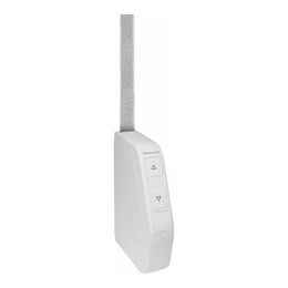 Rademacher Schwenkwickler RolloTron Standard DuoFern 2550-UW (14153011)
