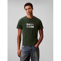 T-Shirt Calvin Klein "SS 30S EU Calvin Klein BOLD GRAP", Herren, Gr. XL, sycamore, Web, Obermaterial: 100% Baumwolle, unifarben, regular fit normal, Rundhals, eingesetzt abgesteppte Kante, Shirts, Mit Rundhalsausschnitt, regular fit