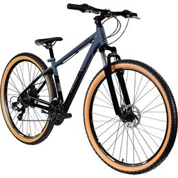 Galano Toxic Mountainbike Hardtail 29 Zoll MTB Fahrrad 21 Gang Federgabel Scheibenbremsen schwarz 40 cm