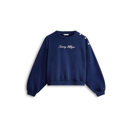 Tommy Hilfiger Sweatshirt female Blue size 3XL