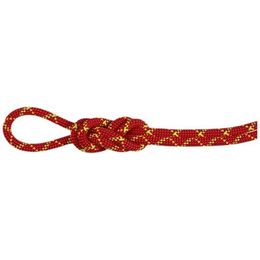 Mammut 8.0 Alpine Core Protect Dry Rope 60m - Zwillings/Halbseil