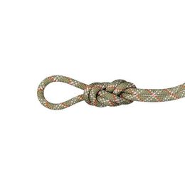 Mammut 9.5 Crag Dry Rope - Einfachseil