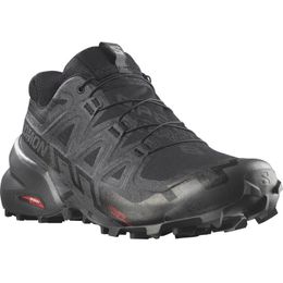 Salomon Speedcross 6 GTX - Trailrunning Schuhe - Herren