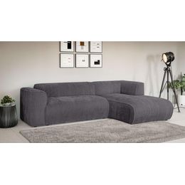 Ecksofa Home Affaire "MERID L-Form (257 cm), zeitlos & stilvolles Design", grau (dunkelgrau), B:257cm H:78cm T:161cm, 100% Polyester, Sofas, Ecksofa, Aufwendig gepolstert, in Cord, Chenille und Struktur