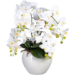 Kunstorchidee Creativ green "Phalaenopsis im Keramiktopf", weiß, H:56cm, Obermaterial: 95% Polyethylen, 5% Polyester, Kunstpflanzen