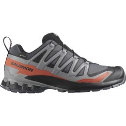 Salomon Xa Pro 3D V9 GTX - breit (2E) Schuhe Herren grau 45.3