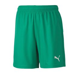 Puma Workout Pants 'TeamGOAL 23' boy Green size 140
