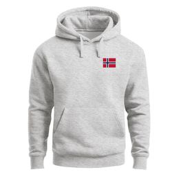 Neverless Sweatshirt 'Norwegen' male Grey size S