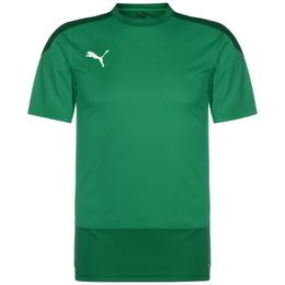 Puma Sportshirt 'TeamGoal 23' Herren Größe S grün / dunkelgrün