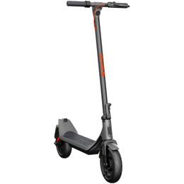Denver E-Scooter &raquo;DONAR Pro SEL-10860&laquo; 20 km/h 30 km mit Stra&szlig;enzulassung, bis zu 30 km Reichweite dunkelgrau Reichweite von bis zu 30 km