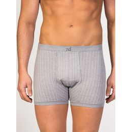 zd ZERO DEFECTS Boxershorts 'Helios prinstriped fly front boxer' Herren Größe XXL grau